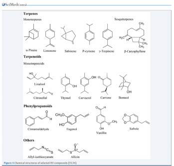 Terpenes: The Ultimate Guide To Understanding Terpenes - Utoya