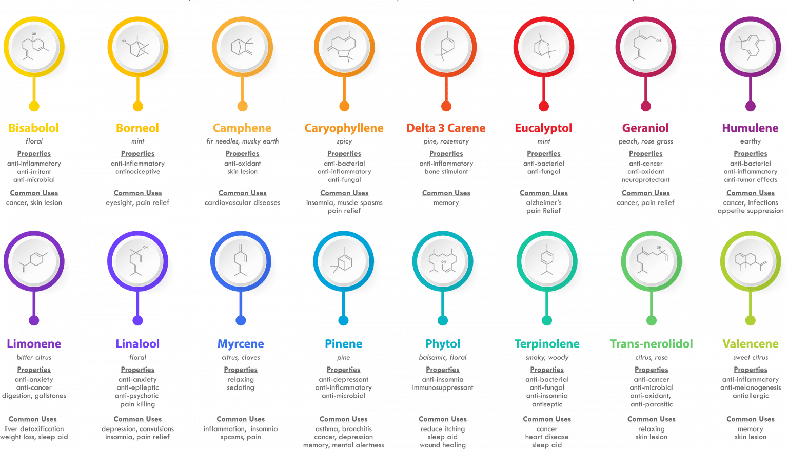 Terpenes: The Ultimate Guide To Understanding Terpenes - Utoya