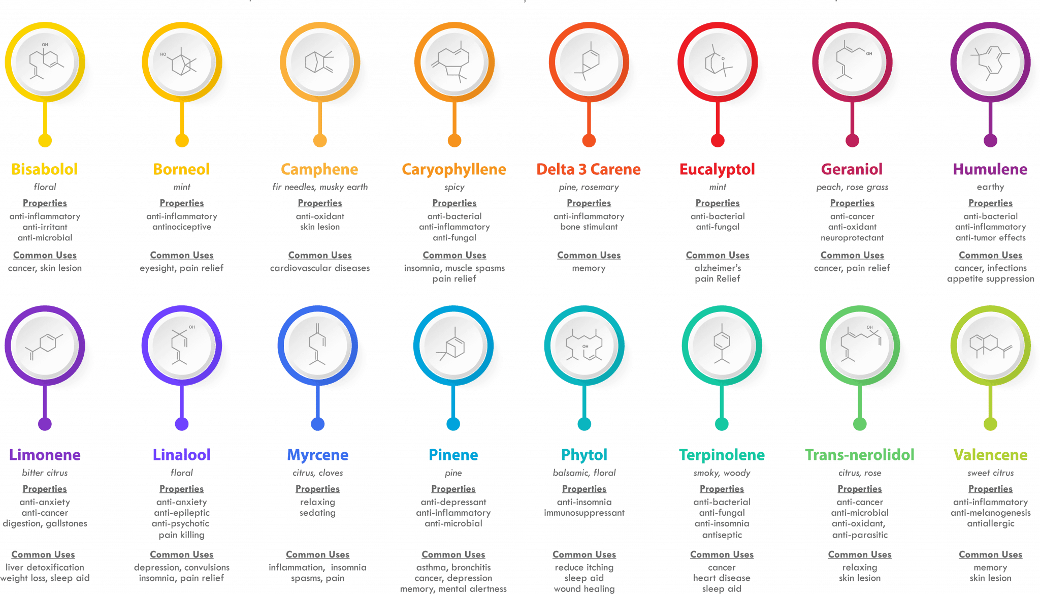 Terpenes: The Ultimate Guide To Understanding Terpenes - Utoya