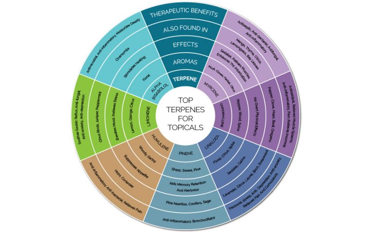 Terpenes: The Ultimate Guide To Understanding Terpenes - Utoya