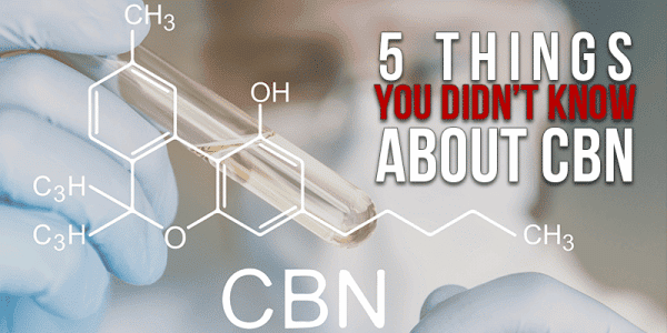 5 Things You Didn't Know About CBN - Utoya Organics