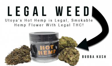 Hemp Bar In Portland Oregon, First Public Cannabis Café