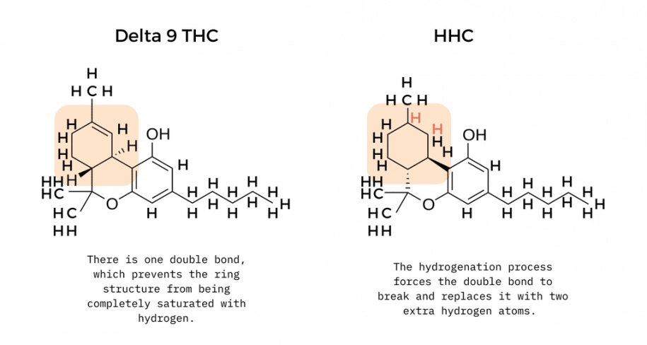 HHC - Your Ultimate Guide To Hexahydrocannabinol - Utoya Organics