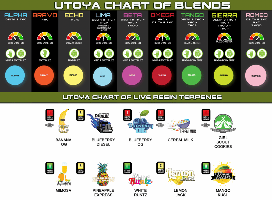 Buy The Best Vapes Online D8, HHC, THC-O, THCP, THCJD, CBD, CBG, and ...