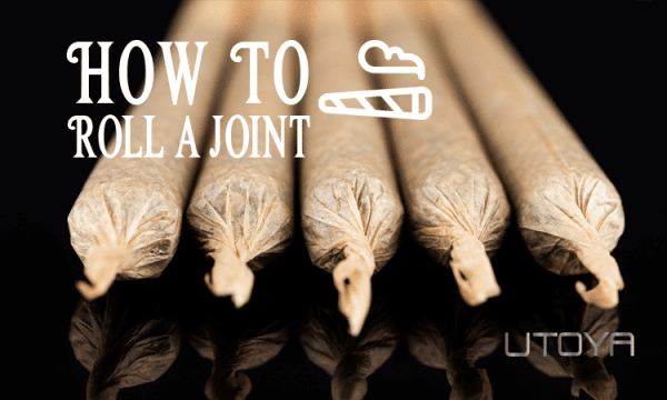 The Art of Joint Rolling - How To Roll The Perfect Joint - UTOYA