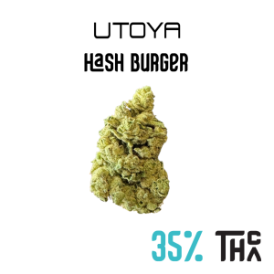 THCA Hash for Sale | Utoya | Buy Premium THCA