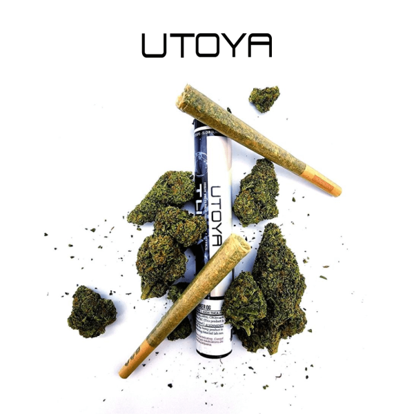 What Is a THCA Hemp Flower? | Utoya Organics | Buy THCA