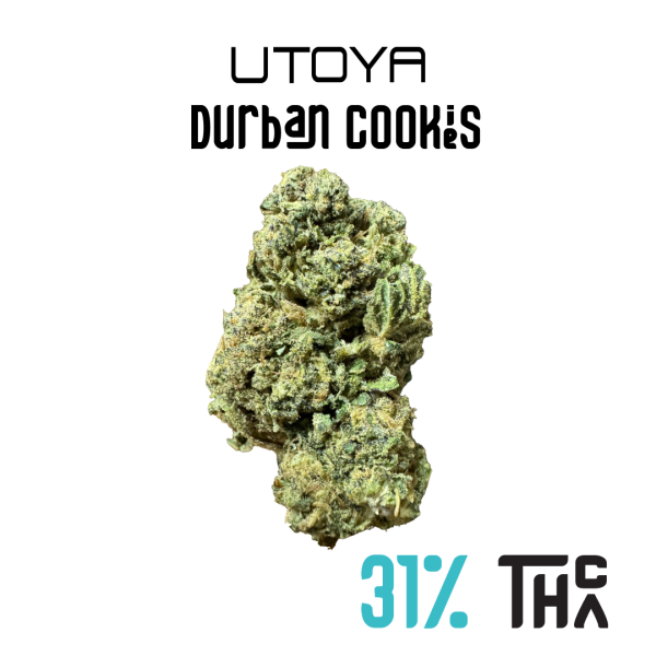 THCA Flower - UTOYA