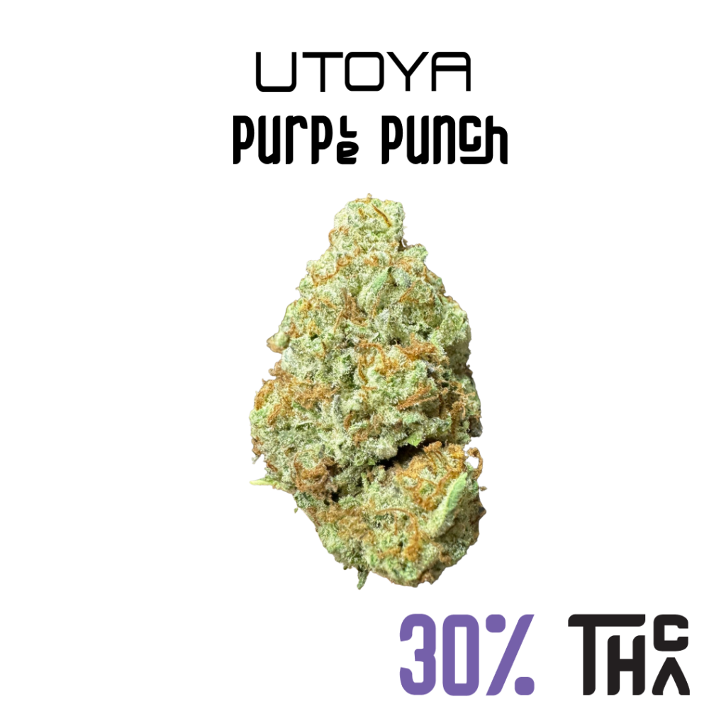 THCA Flower - UTOYA