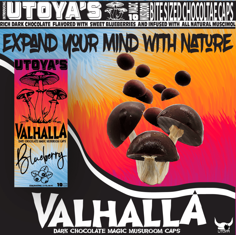 Muscimol Mushrooms | Utoya | Buy Premium Amanita Mushrooms