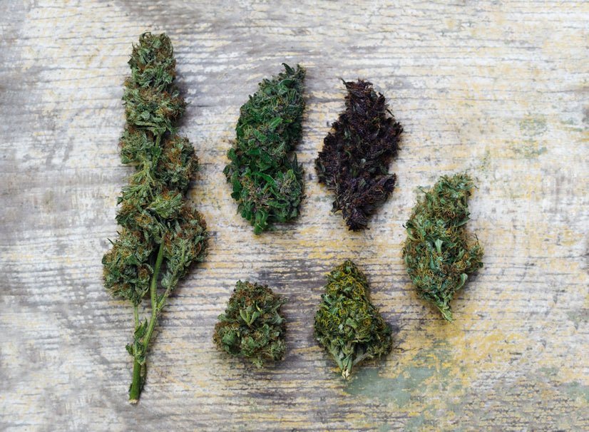 Is THCA Real Marijuana? What You Should Know | Call Now!